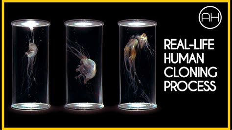 Categoryhuman Cloning Cloning Pros And Cons Iahpb