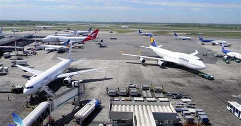 ¿aerolínea O Aereolínea La Rae Aclara Cuál Es La Palabra Correcta