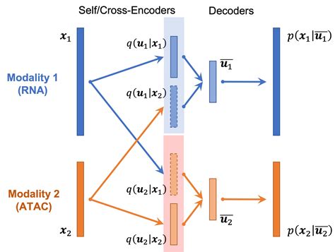 Xinming Tu On Twitter Excited To Share Our Neurips Oral Paper