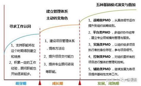 组织级PMO项目管理体系的搭建和实施 知乎