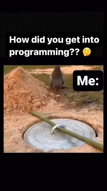 Coders Buddy Codersbuddy • Instagram Photos And Videos