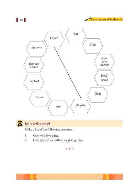 Cg Board Class 3 Evs Book Pdf Download Chhattisgarh Board Textbook Aglasem