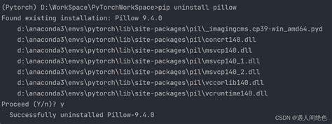Pytorch环境问题与pillow、tensorboard故障排除 Csdn博客