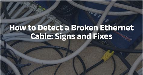 Detect A Broken Ethernet Cable Warning Signs And How To Fix Noyafa® Noyafa Hk Technology Co