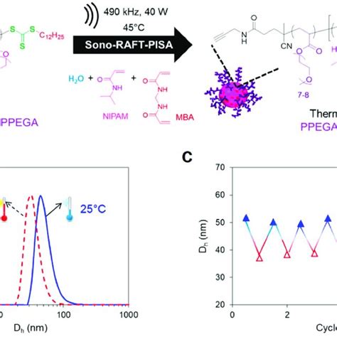 Sonochemically Induced Reversible Addition Fragmentation Chain Transfer