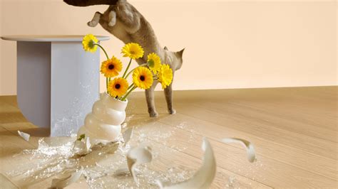 What Wood You Do If You Dropped A Vase On Your Parky Floor Parky