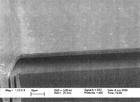 The Back Of A Microneedle Showing The Microshell Fabricated On Top Of Download Scientific