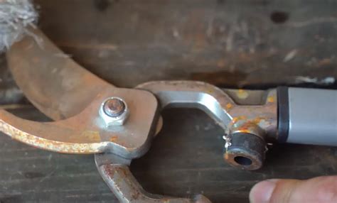 How To Keep Garden Tools From Rusting GardenProfy