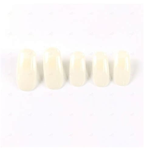 네일 아트 연습용 손가락팁 가짜 인조 손톱 100p Gs1700017b 티몬