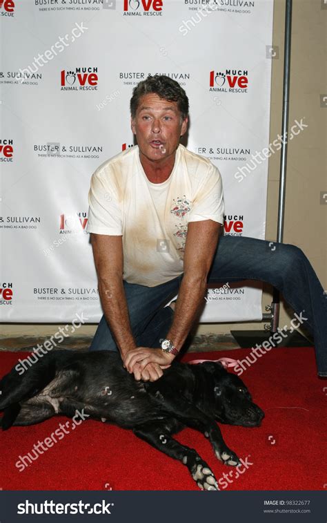 David Hasselhoff Puppies
