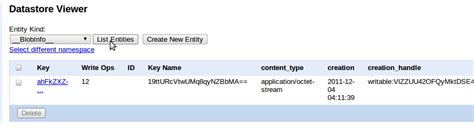 Google App Engine Delete Entire Blob Information Through BlobInfo Blob Overwrite Purpose