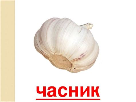 Презентація ОВОЧІ картинки для 1 класу Презентація Дидактичні матеріали