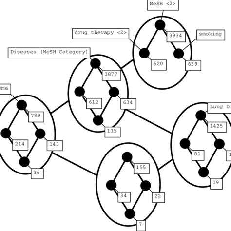 A Nested Line Diagram Exploring The Relationship Between Carcinoma