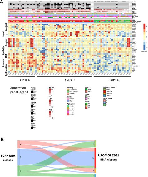 Rna Sequencing Samples Stratified By Consensus Clustering A Three