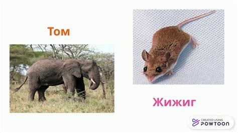 Хэл яриа хичээл шинэ Youtube