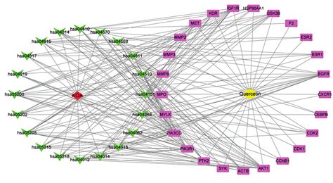 Drug Target Pathway Disease Network Download Scientific Diagram