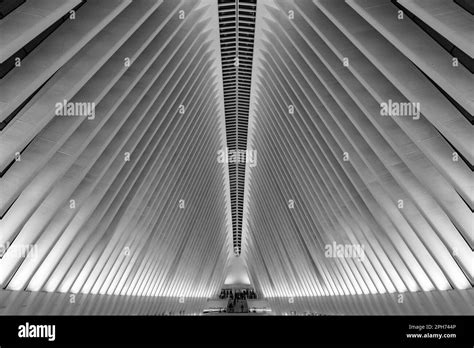 A Symmetrical Oculus From The Inside Black And White Futuristic