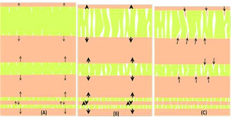 Schematic Model Of Shrinkage Crack Formation By Repeated And Mild