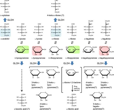 Aldopentoses And Ketohexose As New Substrates For Gldh Of Gluconobacter