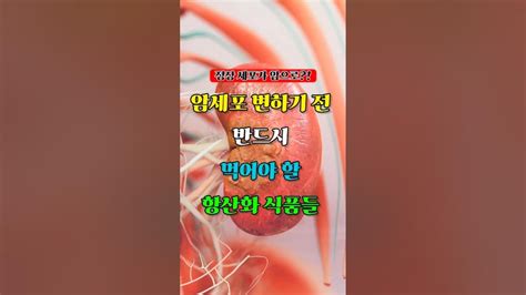 정상세포가 암으로 변하기 전 꼭 먹어야 할 항산화 영양소~ 암 예방 정상 세포를 지키는 항산화 식품 Top 5 Youtube