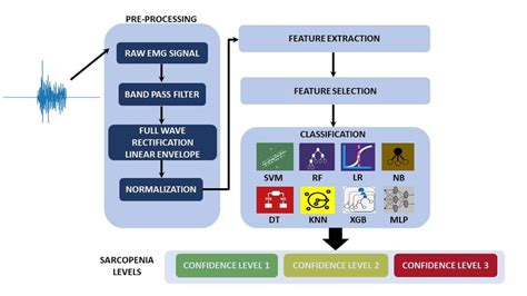 Overview Of The Proposed Algorithmic Pipeline Designed And Implemented