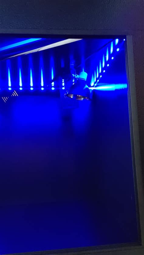 Django Has An Upgrade Rballpython