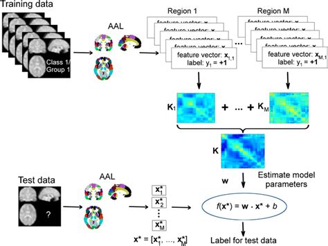 Illustration Of The Single Kernel Svm Classification Procedure For