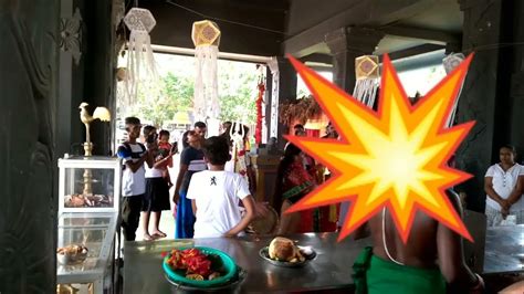 මුන්නේශ්වරම් සොහොන් කාලි දේවාලයේ පුද පූජා පැවැත්වීම Youtube