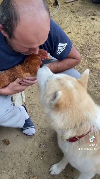 არ მაჭამეს ბარკალი Youtube