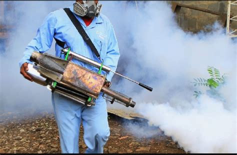 Best Fumigation Techniques Educating Business