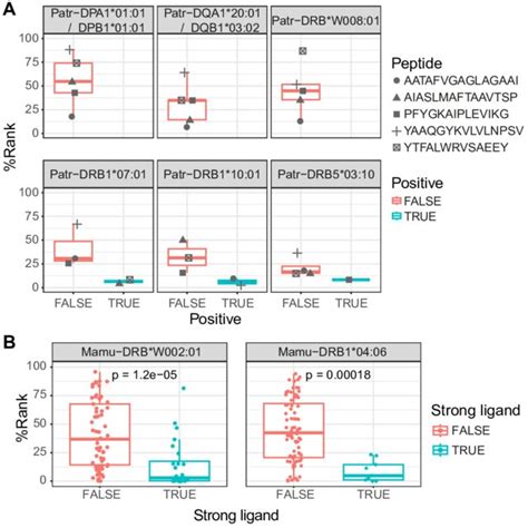 Binding Specificities Predicted By Mixmhc2pred A Comparison Between Download Scientific