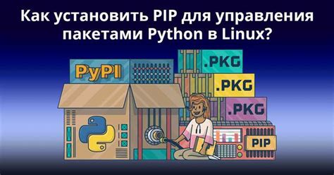 Как установить Pip для Python на Windows и Mac