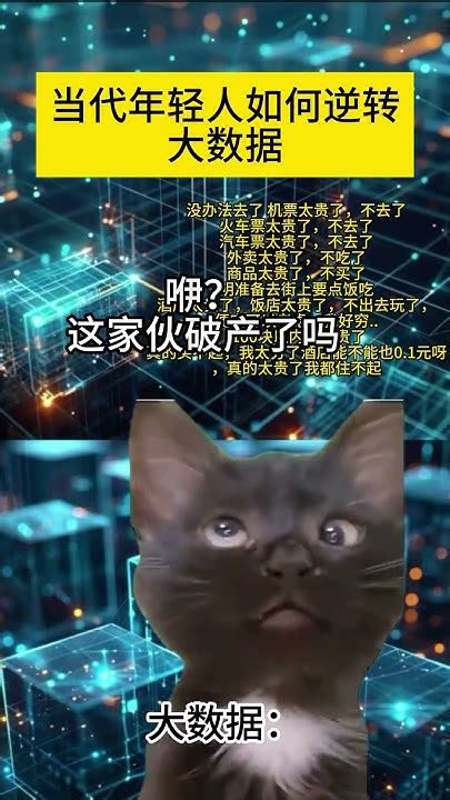 当代年轻人逆转大数据 猫meme小剧场 Cat 万万没想到 大数据 Youtube