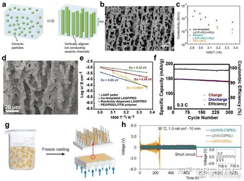 武汉理工大学徐林教授cej：3d框架填料在复合聚合物电解质中的研究进展 知乎