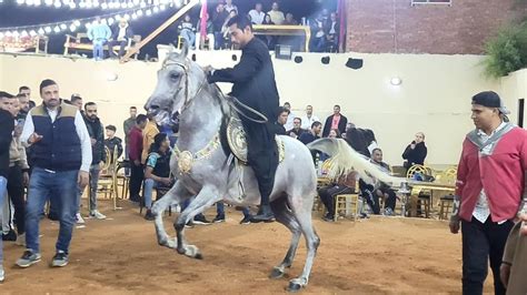 نيران الدبوس و محمد مدحت البيطار حفلة الشيخ ناصر المنصوري ٢٠٢٢ Youtube