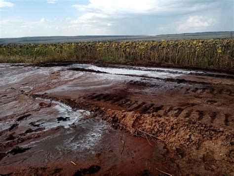 В Красногвардейском районе произошел разлив нефти на площади более 2 тысяч кв м Урал56 Ру