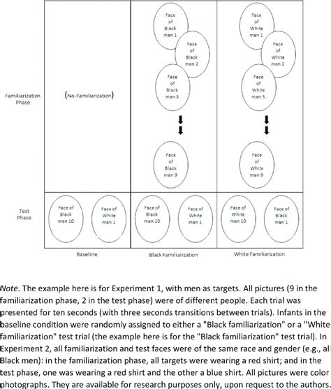 Schematic Display Of The Procedure Used In The Categorization Task In