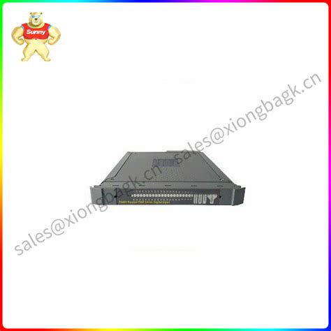 T8403 ICS TRIPLEX Trusted TMR 24Vdc Digital Input Module ICS TRIPLEX Xiamen Xiongba E Commerce