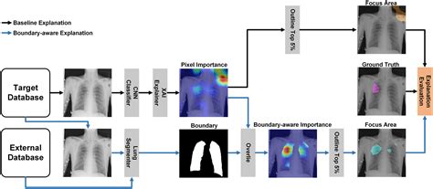 Iradiology Vol 3 No 1