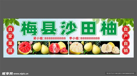 梅县沙田柚设计图 海报设计 广告设计 设计图库 昵图网
