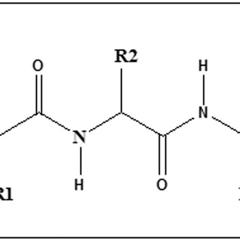 Schematic Of A Generic Polypeptide Backbone Download Scientific Diagram