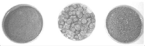 Photo Showing The Hingwastak Churna Powder Slugs And Granules Left To Download Scientific