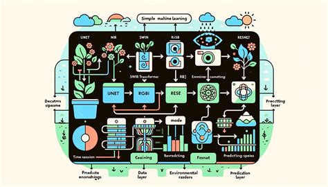 Harnessing Ai For Biodiversity Advanced Deep Learning Models In The Geolifeclef 2024 Kaggle