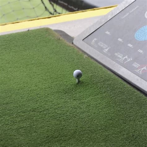 Ipt Global On Linkedin Teambonding Iptglobal Companyculture