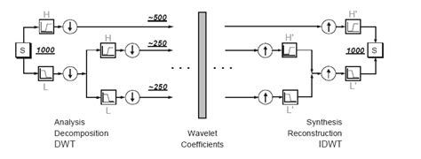 Multistep Decomposition And Reconstruction Download Scientific Diagram