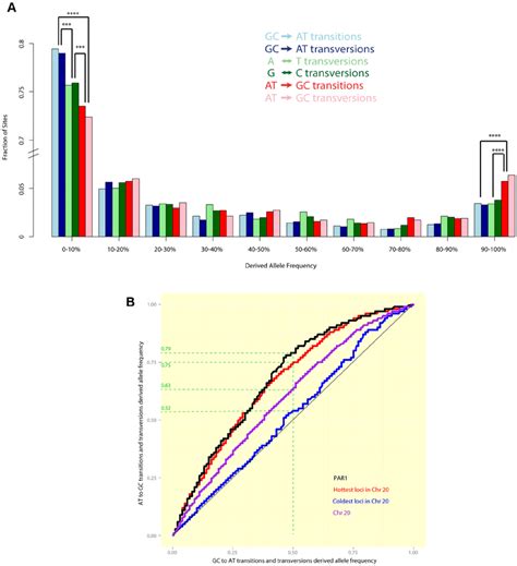 A A Comparison Of Allele Frequency Spectra Of Different Mutation Download Scientific Diagram