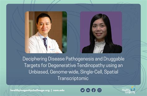 Deciphering Disease Pathogenesis And Druggable Targets For Degenerative Tendinopathy Using An