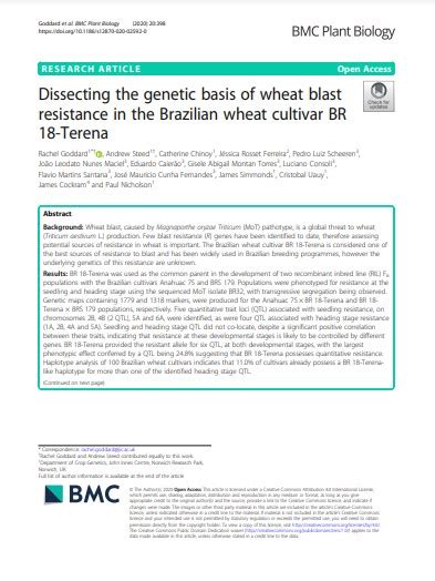 Rft Rede Fitossanidade Tropical Dissecting The Genetic Basis Of Wheat Blast Resistance In