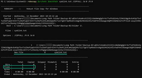 Addressing The Windows Error Destination Path Too Long