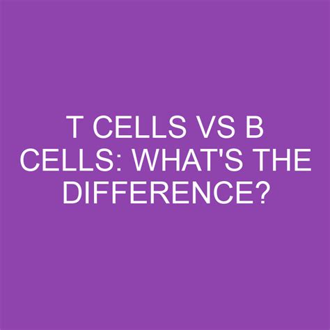 T Cells Vs B Cells What S The Difference Differencess